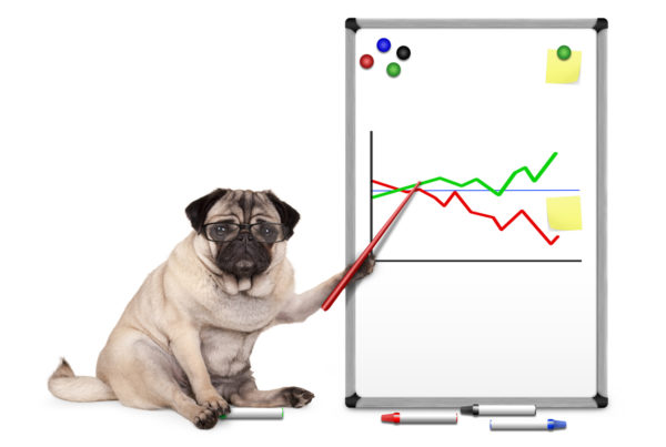 How investment reviews can help to spot the ‘dog’ funds - FAS